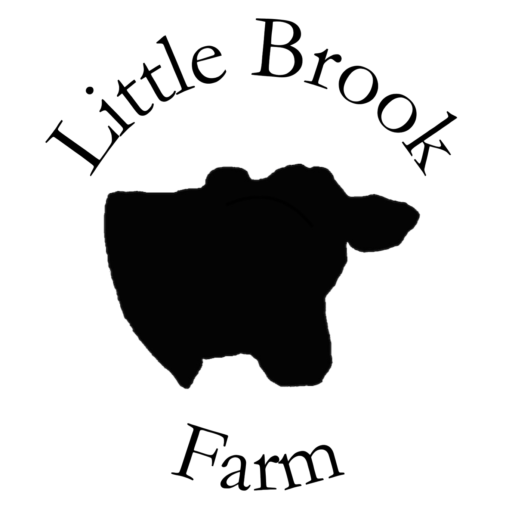 cropped-LBF-logo-transparent.png